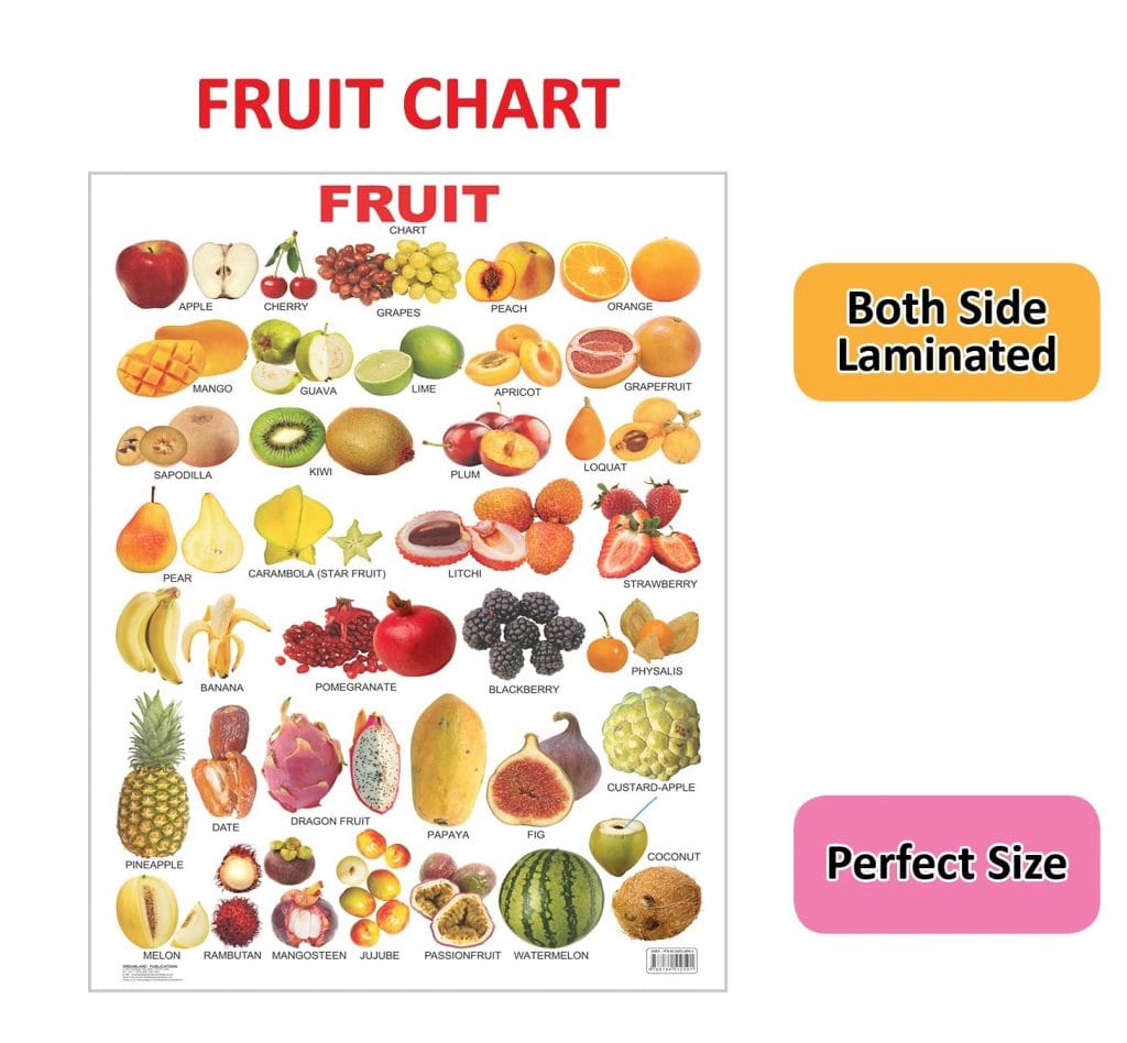 EDUCATIONAL CHART FRUITS – Welcome To Crescent Book Shop