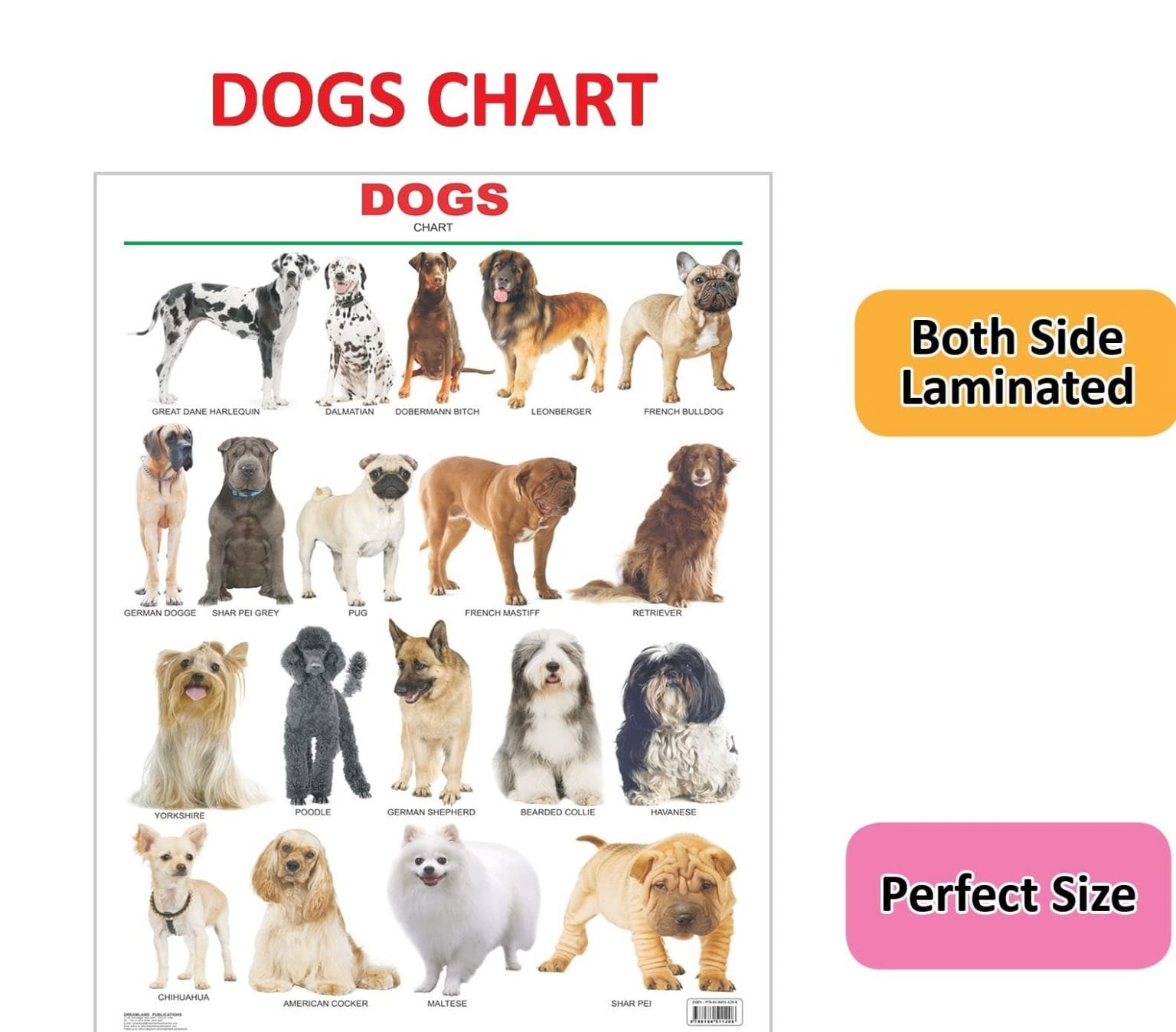 EDUCATIONAL CHART DOGS – Welcome To Crescent Book Shop